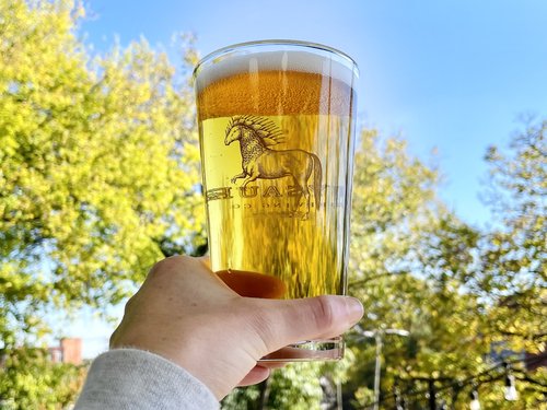 Ponysaurus, Eastcut Sandwich Bar to open Raleigh locations - Raleigh ...